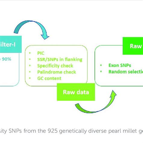 Phylogenetic Tree For 18 Chicken Breeds Plotted Using Pairwise Dna