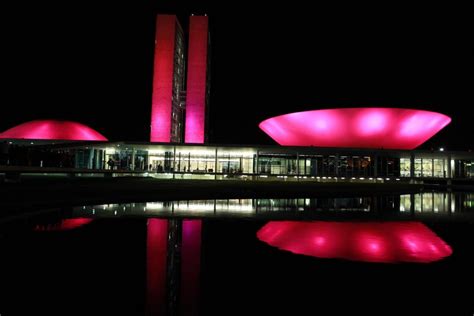 Raio X Da Bancada Feminina Do Congresso Eleitas Na Câmara E No Senado