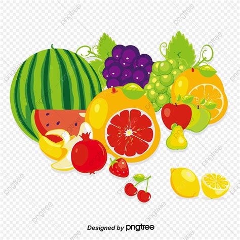 Cartoon Fruits Album Png