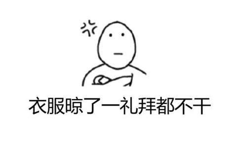 点击量200多万！深圳东部公交这辆车在抖音上火了！