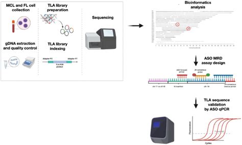 Fig 1 Tla Library Preparation Workflow Immunogenetics Ncbi