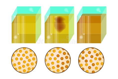 Diffusion Molecules Or Atoms Stock Vector Illustration Of Process