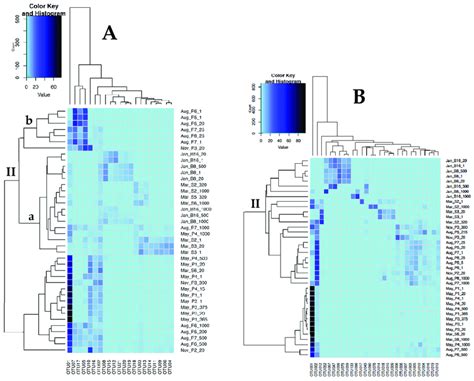 two way hierarchical clustering heat maps showing clustering of samples