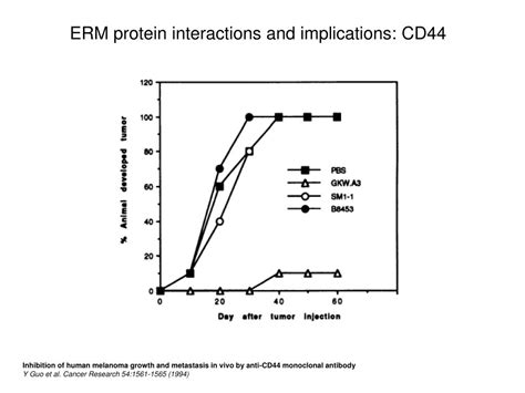 Ppt Ferm Domain Proteins Powerpoint Presentation Free Download Id