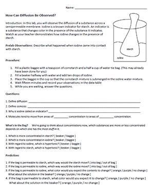 Investigation How Can Diffusion Be Observed