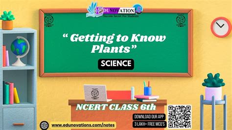 NCERT Class 6 Maths MCQ Getting To Know Plants MCQs Multiple Choice