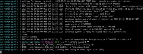 postgresql auto failover with repmgr