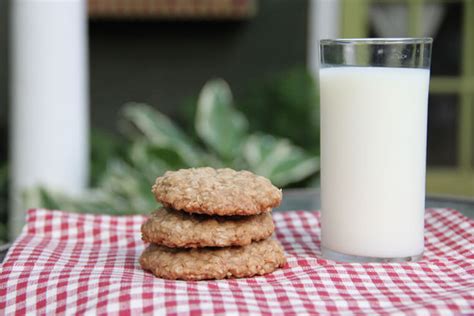 Homemade Nut Milk Figgy And Sprout