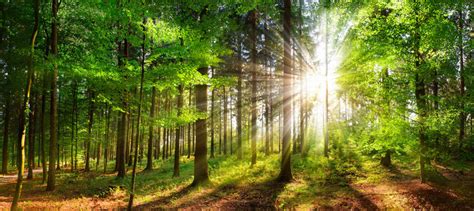 Nature Images Browse 83 320 542 Stock Photos Vectors And Video