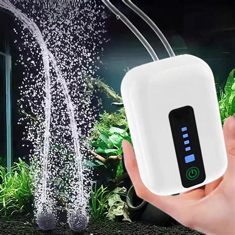 S802b81b2c19d40b3a13a11704351f89brpng