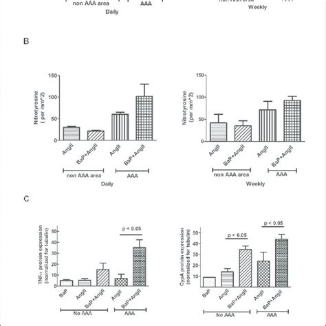 Effects On Tissue Macrophage Accumulation Inflammation Macrophage