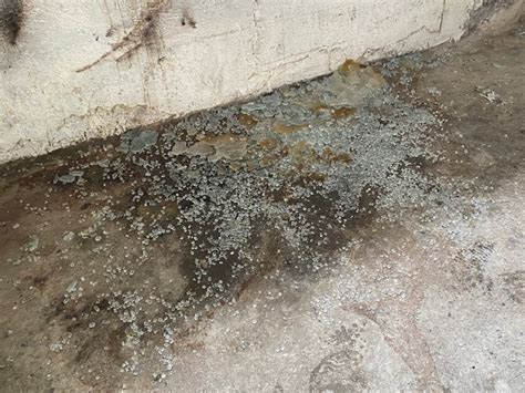 汝州街燒炭案｜南亞漢仍性命垂危 消防向街坊派防火小冊子 星島日報