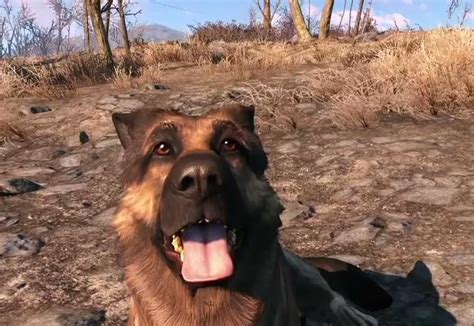 Bat Fix For Permanent Visual Effect Fallout 4 Fo4 Mods