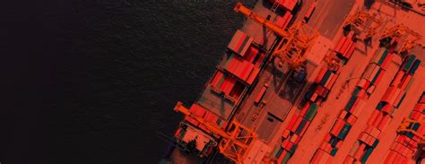 Our Customer Centricity Velogic Together We Make Trade Easy