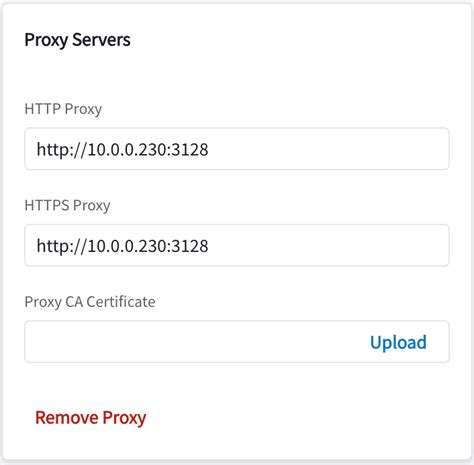 copilot proxy servers documentation