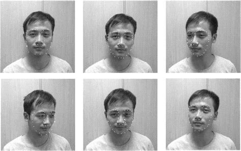 一种基于多约束条件卷积神经网络的密集人脸对齐方法与流程