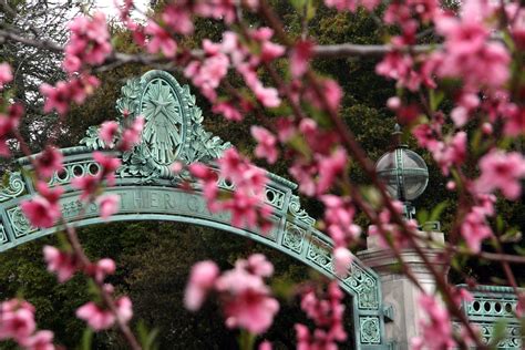 “when I Was At Uc Berkeley…” Cal Alumni Association