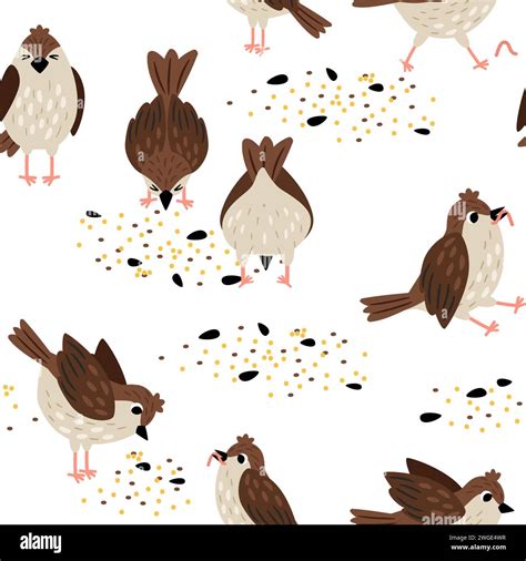 Seamless Pattern With Different Sparrow Poses Bird Pecks Seeds