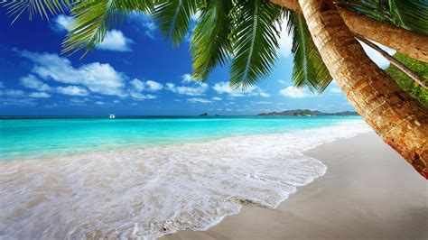 🔥 [50 ] Live Animated Beach Wallpapers Wallpapersafari
