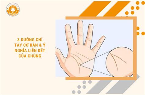 Đường Chỉ Tay Nữ Xem Chỉ Tay Đơn Giản Chính Xác