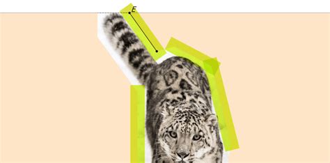 css js 画像を不規則な形に切り取ってテープで貼り付けるテクニック（翻訳）｜techracho by bps株式会社