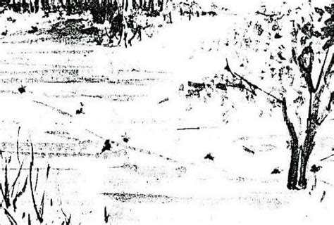 Voices And Votes The 43 Naked Voters Of 1858 Kansas Story