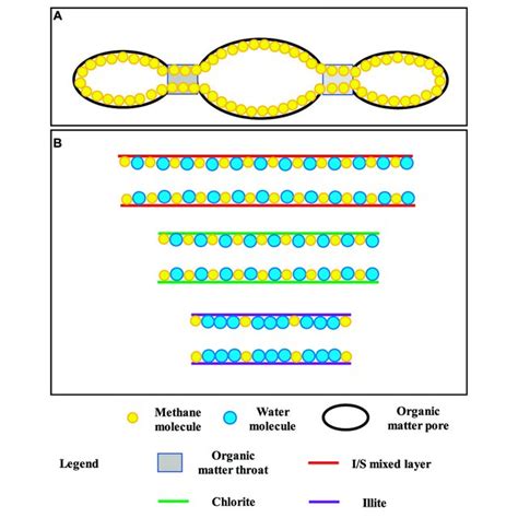 Pattern Of Methane Molecule Adsorption On Different Media In Highly Download Scientific