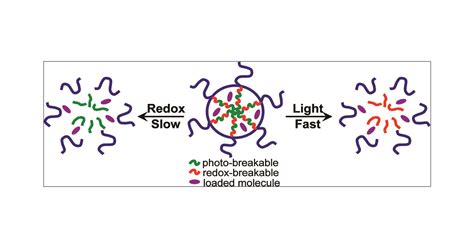 Block Copolymer Micelles With A Dual Stimuli Responsive Core For Fast Or Slow Degradation Langmuir