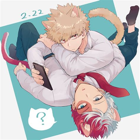 🍰 Todobaku 💥 Amor