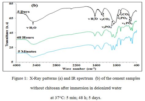 Characterization Of Bio Composite Apatite Chitosan Cement And Its Antibacterial Activity