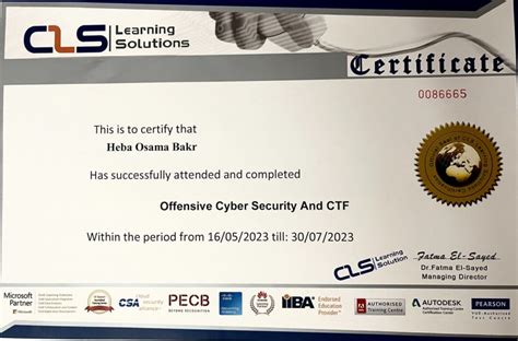 Heba Osman On Linkedin Cybersecurity Offensivesecurity Ctfchampion