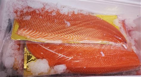 野生海產 Why So Fresh