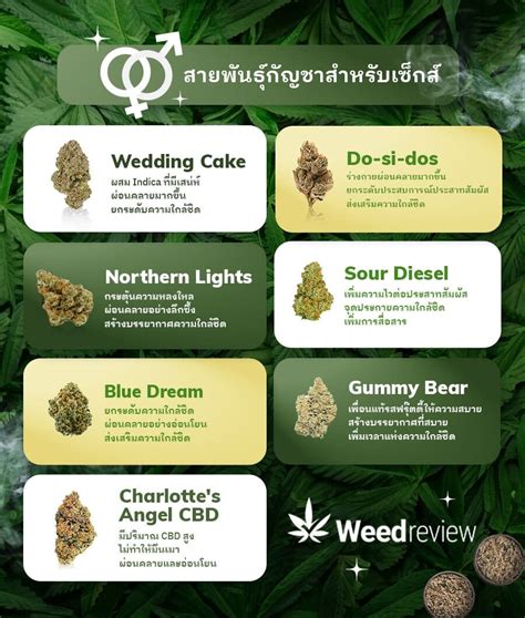 สายพันธุ์กัญชาที่ดีที่สุดสำหรับการมีเพศสัมพันธ์ Weed Review