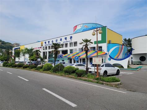 새단장 전남 해양수산과학관 휴가철 관람객 맞이 준비 마쳐 파이낸셜뉴스