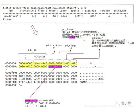 干货 Postgresql数据表文件底层结构布局分析pgsql Unsigned Csdn博客