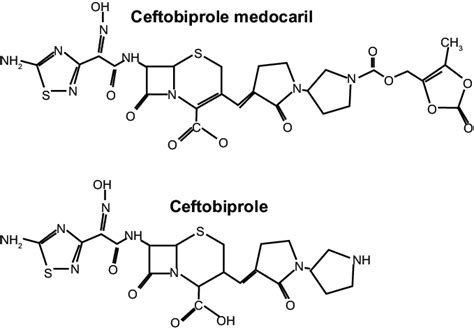 Prodrug Ceftobiprole Medocaril And Active Drug Ceftobiprole Adapted