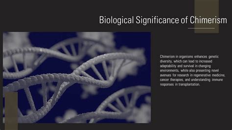 Understanding Chimerism Genetic Diversity Biological Significance And