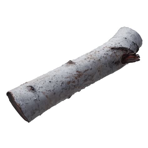 Birch Firewood Scan Photogrammetry FREE Trees Models BlenderKit