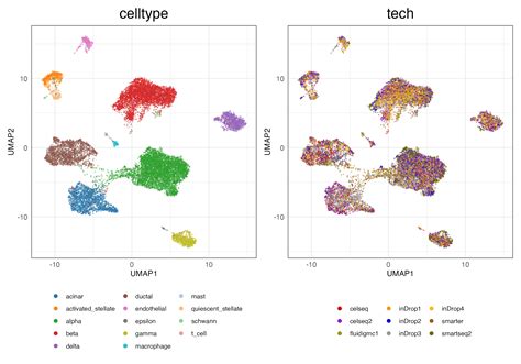 Dataset Pancreas