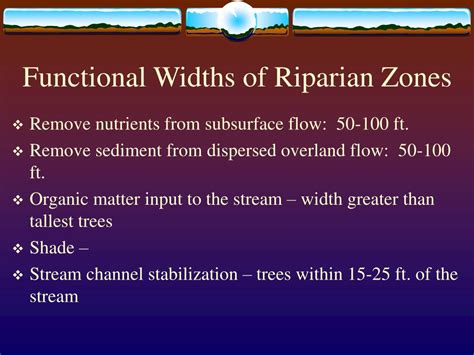PPT Ecological Functions Of Headwaters Streams And Riparian Zones PowerPoint Presentation ID