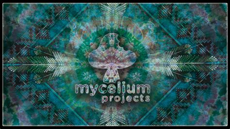 Mycelium Projects Ghent