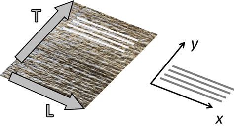 Graphical Representation Of The Coordinate Systems Adopted To Describe