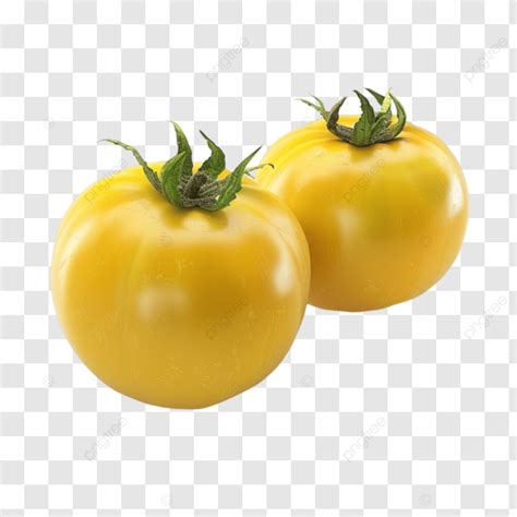 Fresh Small And Big Tomatoes Fresh Tomatoes Small Tomatoes Big