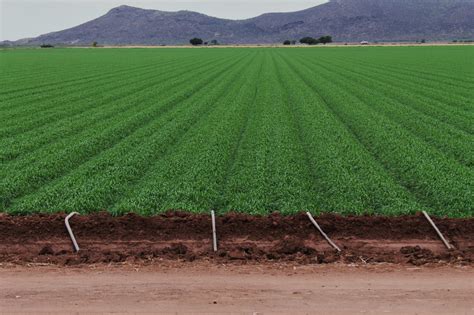 Conocer MÉxico Poco A Poco Los Mochis En Sinaloa