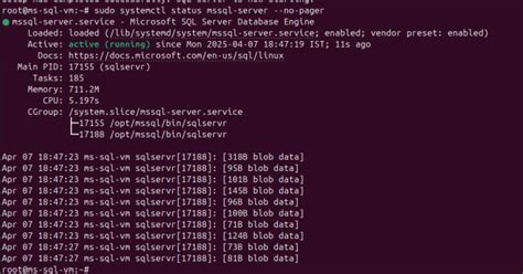 How To Install And Set Up Microsoft SQL Server 2022 Express Edition On