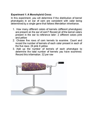 Unit 1 Exam Study Guide For Biology BIO101 Key Concepts And