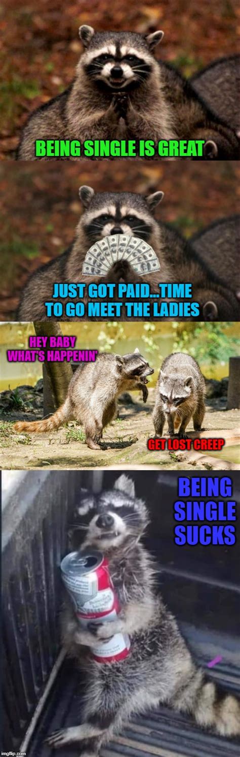 Evil Plotting Raccoon Meme