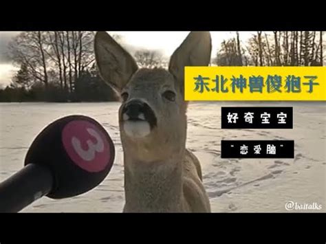 China Youtube