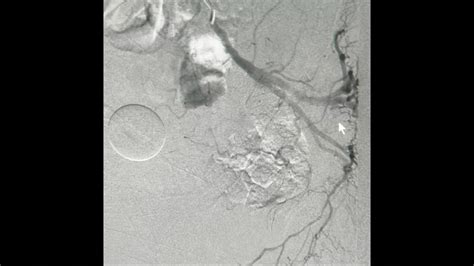 Olukemi Alegi Posted On Linkedin