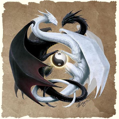 Yin And Yang Dragon Wallpaper